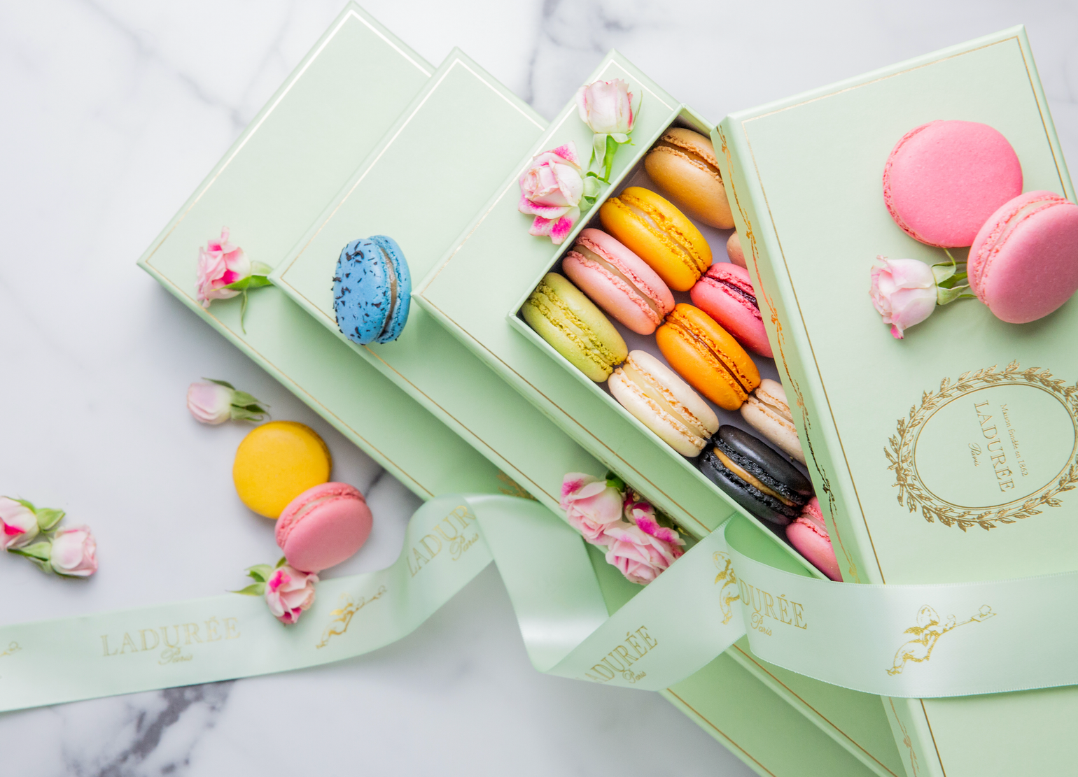 Ladurée Deutschland - feinste französische Macarons – LADURÉE GERMANY